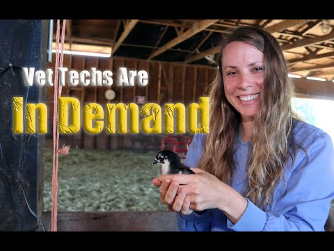 Working With Cute Animals: PCC's Veterinary Technicians Are In DEMAND!