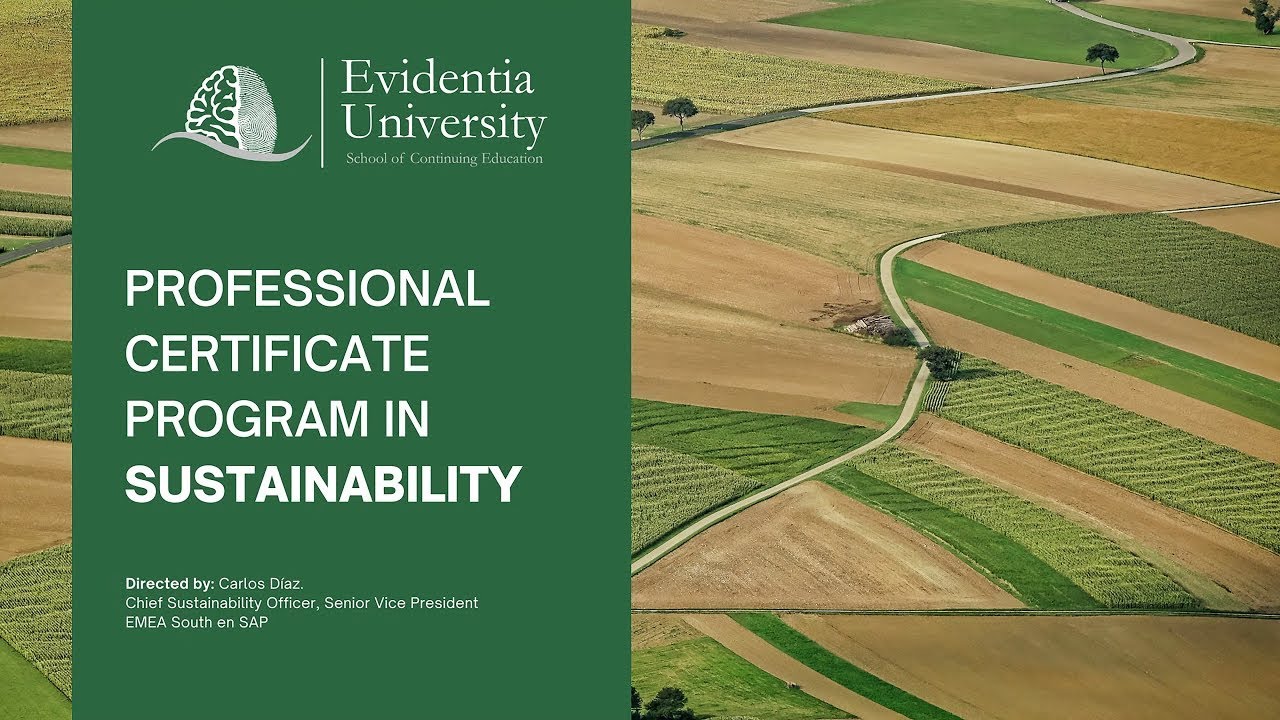 Sustainability Course - Professional Certificate Program 100% Online