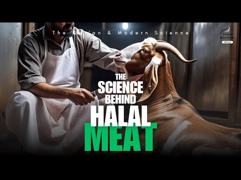 The Science Behind Halal Meat | Islamic Knowledge Official