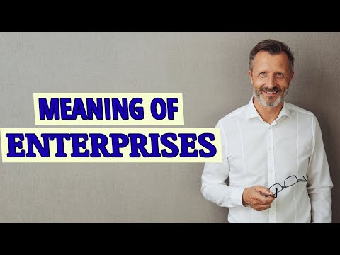 Enterprises | Meaning of enterprises π