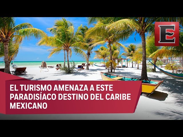 Isla Holbox enfrenta daños por inundación; realizan limpieza