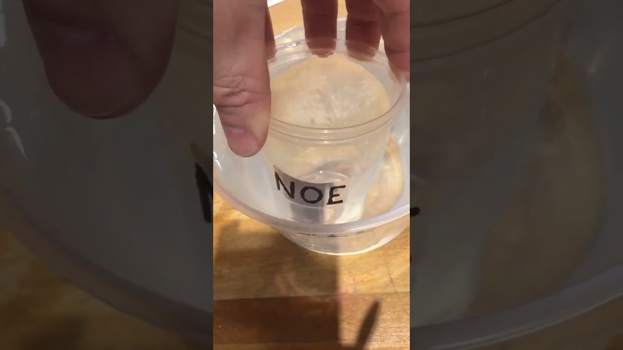 Christmas science magic craft. Try at home. Optical illusion. Noel. Maker