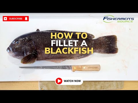 How To: Fillet a Blackfish