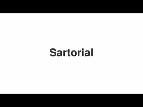 How to Pronounce "Sartorial"
