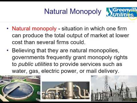 Natural Monopoly