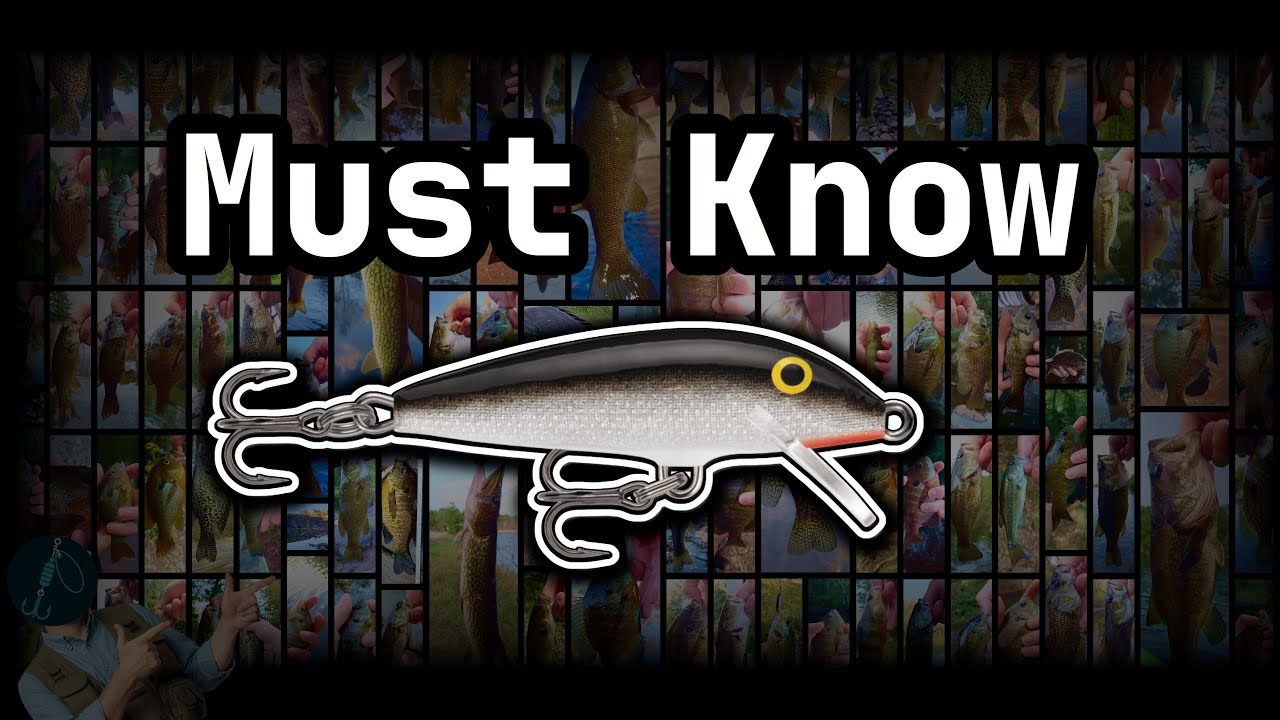 I LOST FISH Without This Lure...