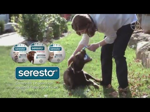 Seresto™ for Dogs