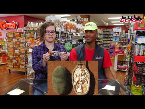 What Is Baobab?! 72 Chocolate Baobab Bites and Java Jolt Taste Test - All City Candy Unwrapped