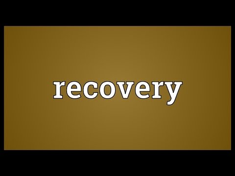 Recovery Meaning