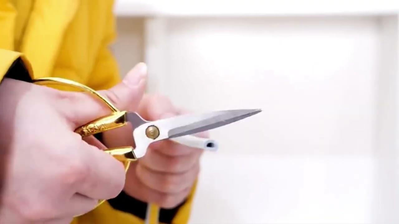 Bande d'étanchéité pour porte, 5m/10m, auto-adhésive, bouchon d