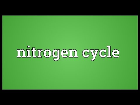Nitrogen cycle Meaning