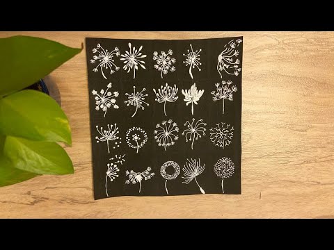 Dandelion in its different species | 20 different species.
