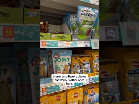 DENTAL HEALTH for your dog 🐶 #allaboutdogfood #dogfood #dognutrition #dogshorts