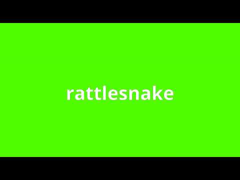 what is the meaning of rattlesnake.