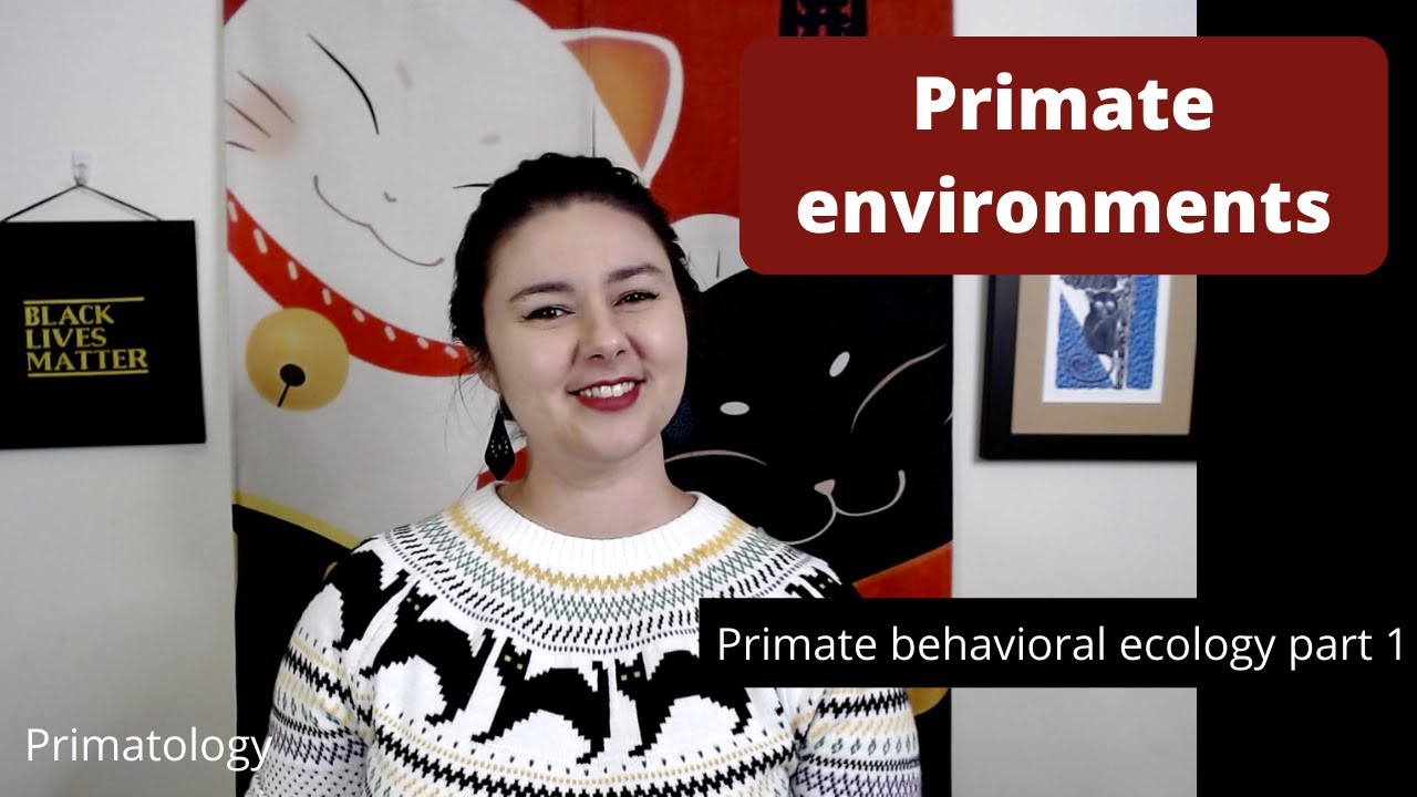 Primate environments