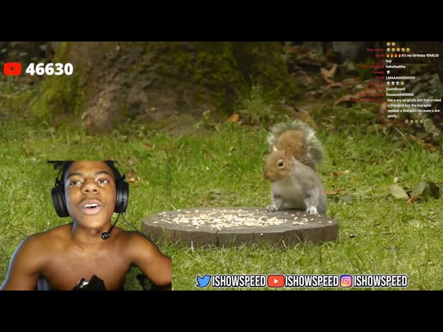 IShowSpeed reportedly breaks his PC after getting jump-scared during ...