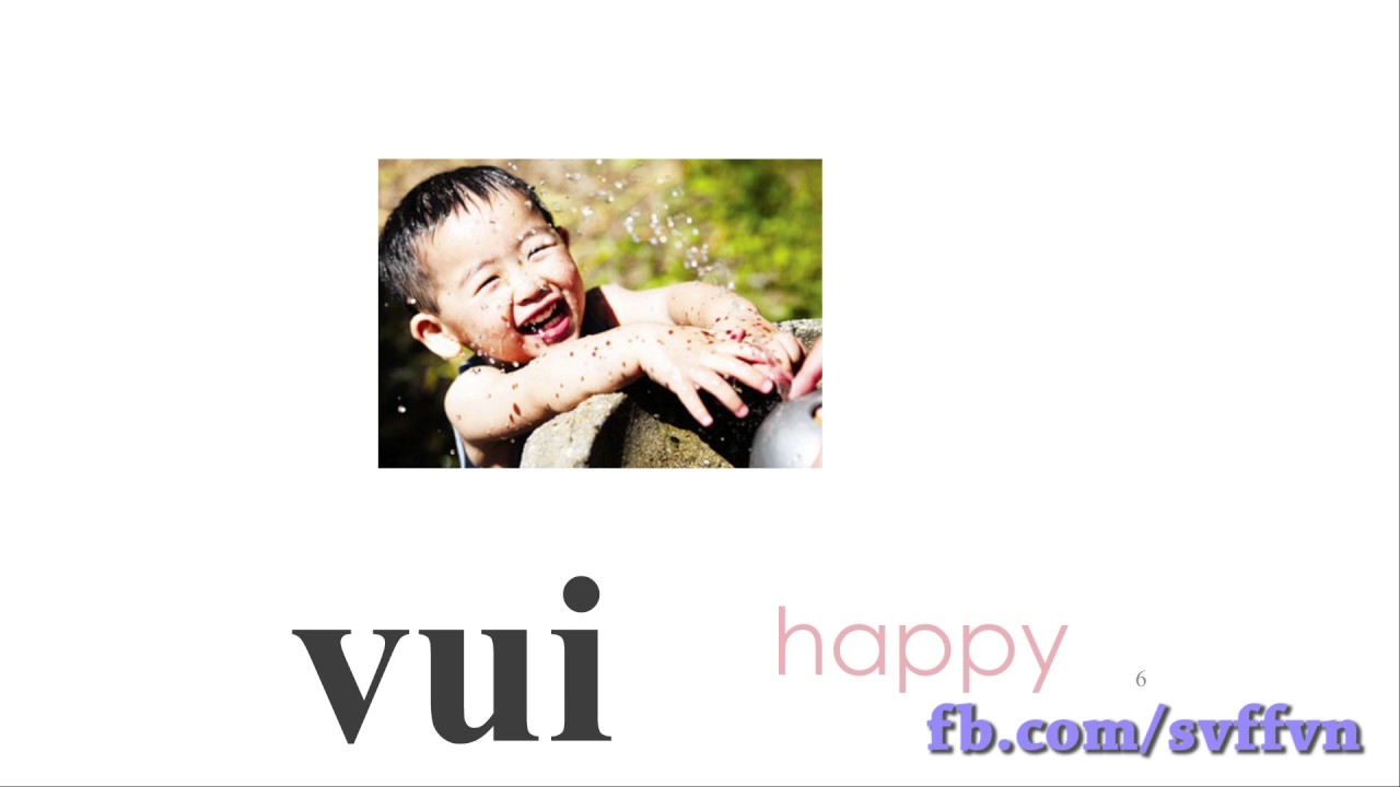 Vocabulary: Feelings and emotion (Learn  Vietnamese With SVFF) ✔