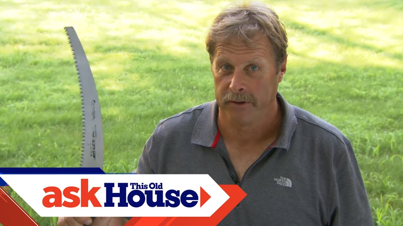 Pruning Trees with the Three Cut Method | Ask Roger | Ask This Old House