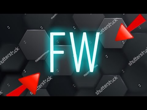 What does FW exactly mean?