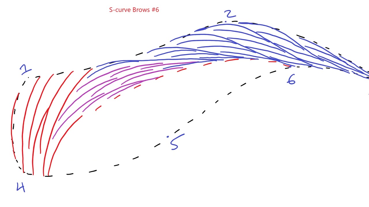 Applied Microblading Patterns:  S-curve Brows #6