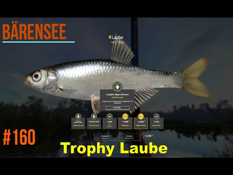 Steam Community :: Video :: Russian Fishing 4 Bärensee #160 (Trophy Laube)
