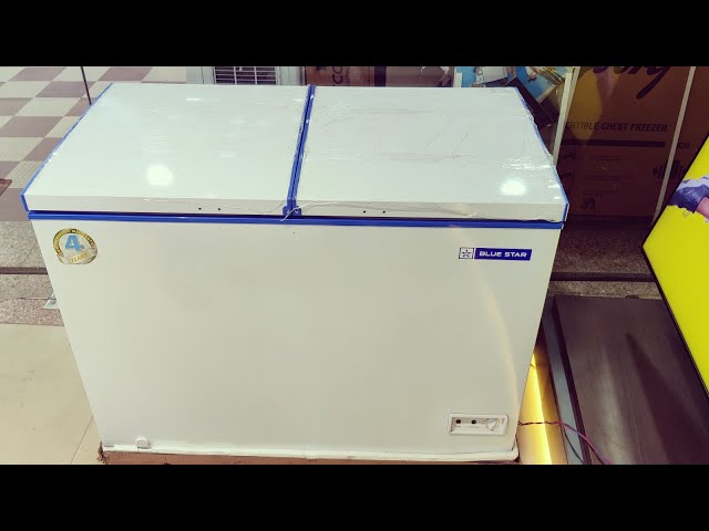 Deep Freezer - Blue Star Deep Freezer 300 Ltr Convertible Wholesale ...