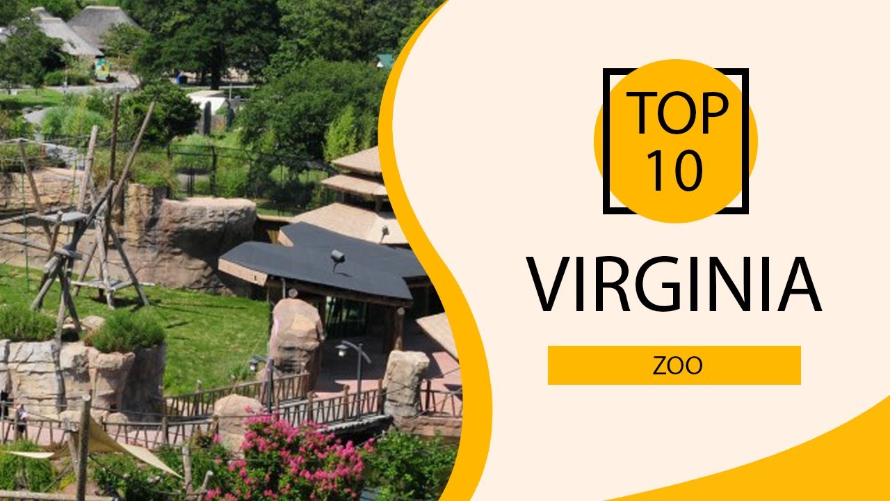 Top 10 Best Zoo to Visit in Virginia  | USA - English