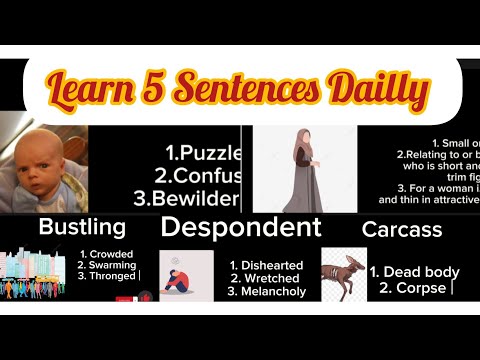 Day 2 || Learn 5 sentences Daily || #petite #perplexed #Despondent #carcass #bustling