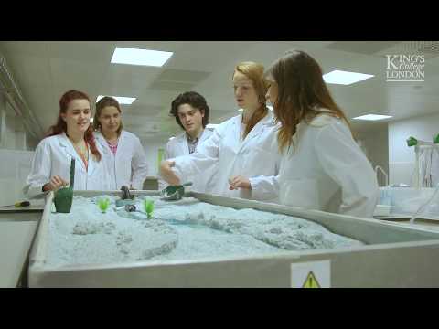 The King's John B Thornes Lab