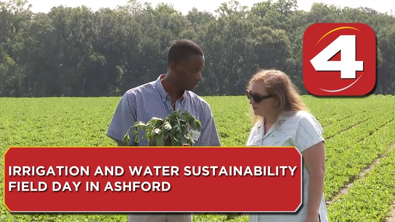 Irrigation and water sustainability field day in Ashford