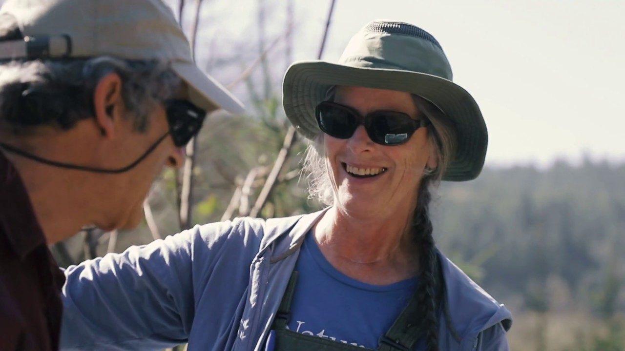 Nature's Nursery: Estuaries