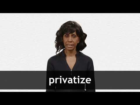 PRIVATIZE definition and meaning | Collins English Dictionary