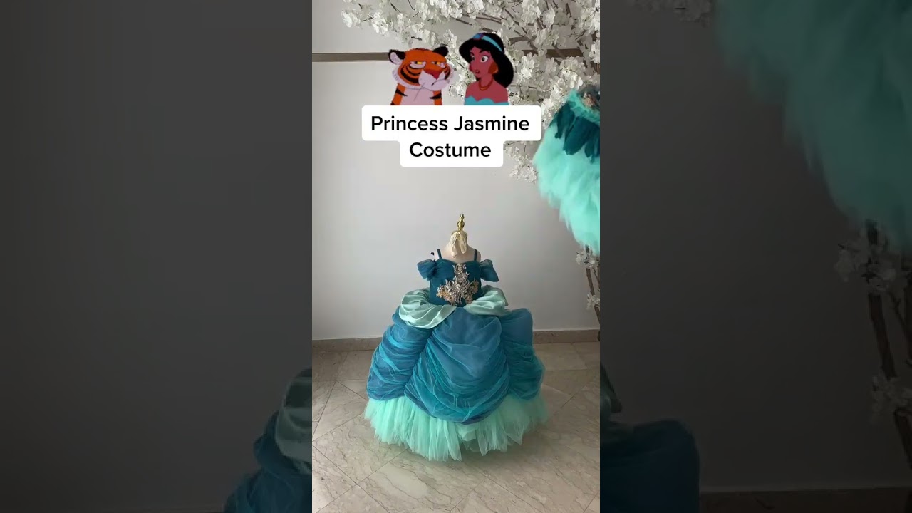 Princess Jasmine Custom Birthday Party: A Magical Journey to Agrabah