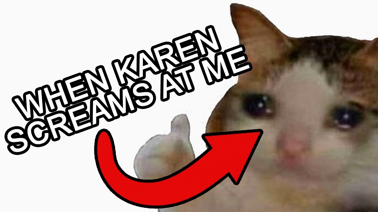 Thumbs Up Crying Cat Memes That Will Make You Cry