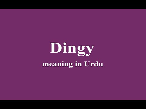 Dingy meaning in Urdu