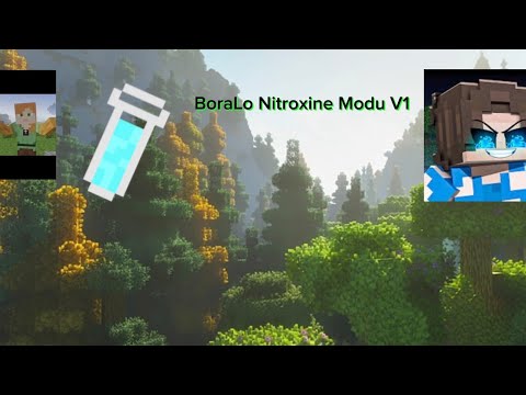 Boralo nitroxine mod v1