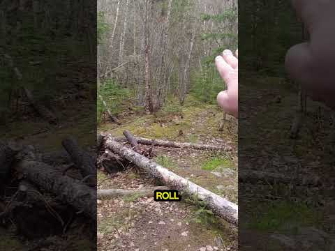 What to expect when hiking the Pukaskwa Coastal Trail!