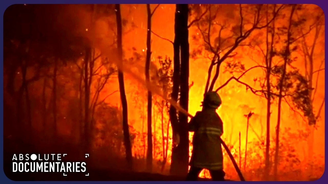 How Climate Change Is Transforming Our Planet - The Urgent Truth