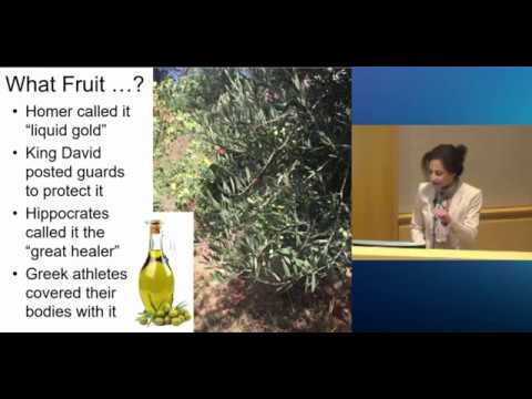 Mediterranean Diet to Reduce Cardiovascular Disease and Other Chronic Diseases of Aging