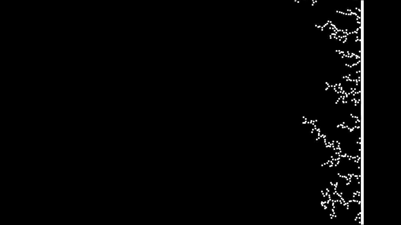 Nauticle: Diffusion-Limited Aggregation