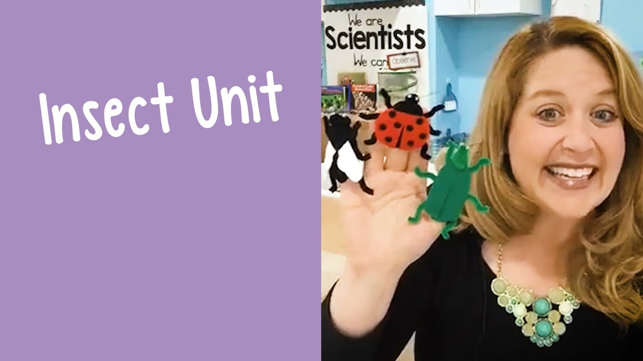 Insect Unit