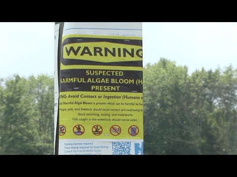 The Ecology and Management of Cyanotoxin producing Blue Green Algae in the Schuylkill River