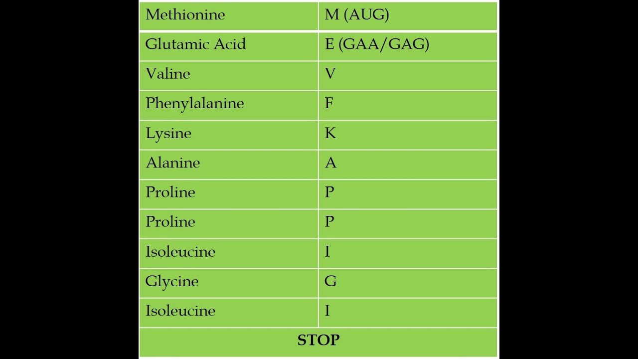 How to Use the Genetic Code Table: Part 1