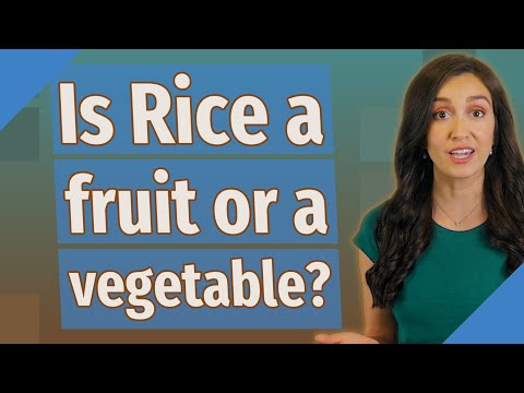 Is Rice a fruit or a vegetable?