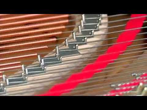 Parts of a Grand Piano