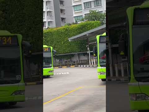 [Go-Ahead] SBS6538C and SBS6537E on Service 34 and 84G arriving and passing by #shorts