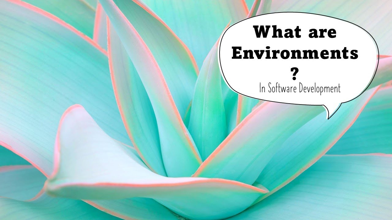 What are Environments in Software Development?