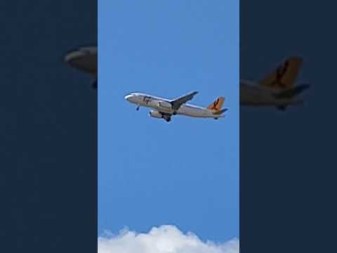 Lift Airlines flight from Johannesburg to Cape Town#planespotting #aviation #flight #lift #shorts