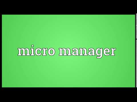 Micro manager Meaning | Wordogram