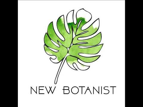 The New Botanist: S1E6 Snake Plant